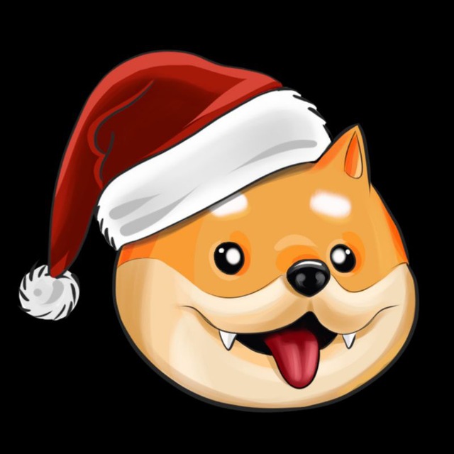 Doge santa - CoinTopList