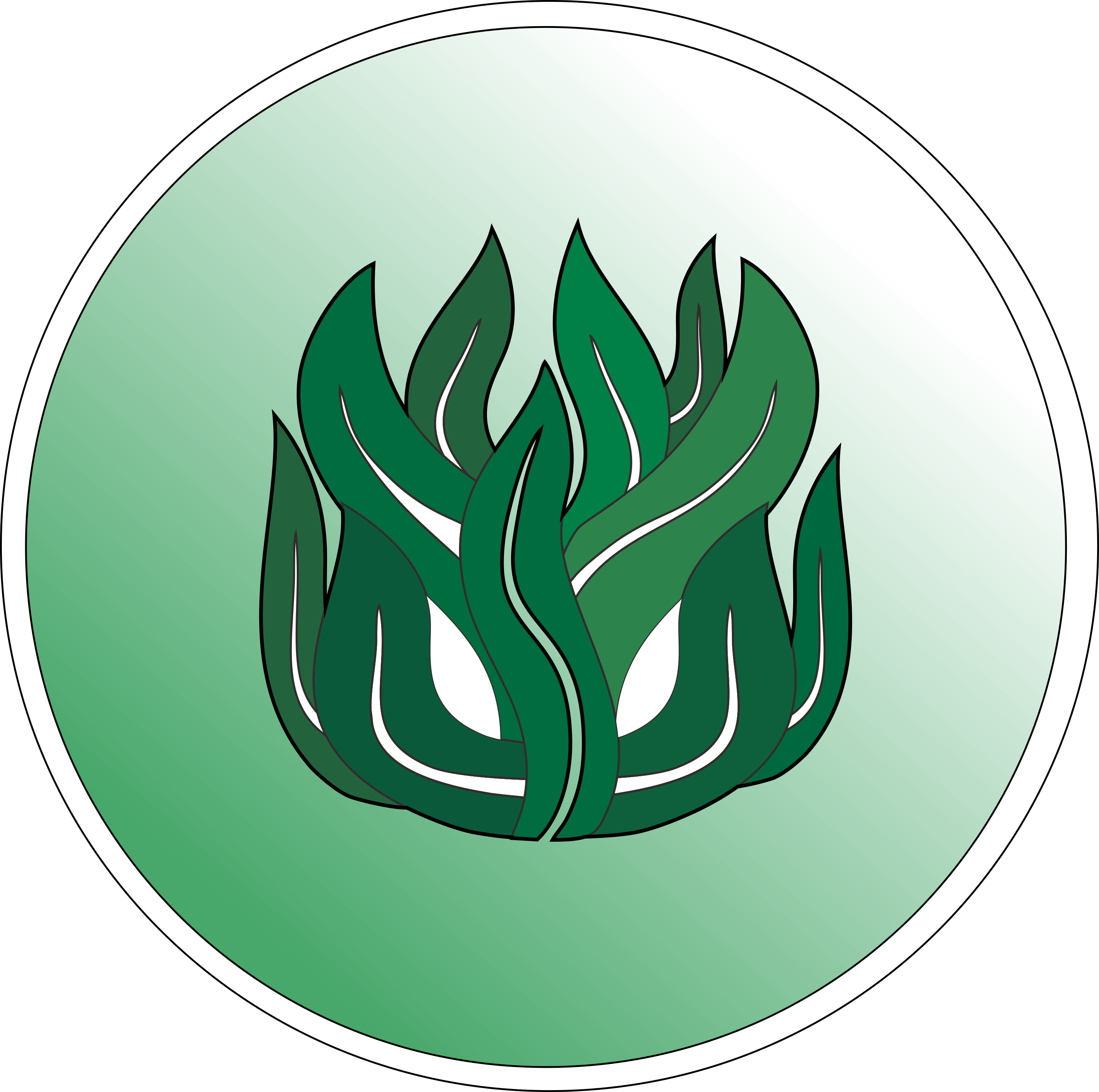 Kelp Network - CoinTopList